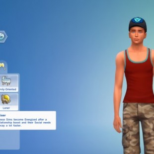 Crazy trait by DrHouse93 at Mod The Sims » Sims 4 Updates
