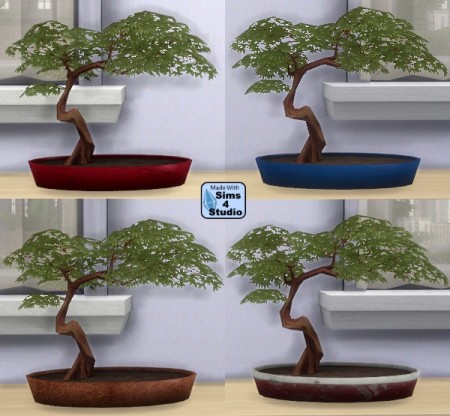 Bonsai Tree by OM at Sims 4 Studio » Sims 4 Updates