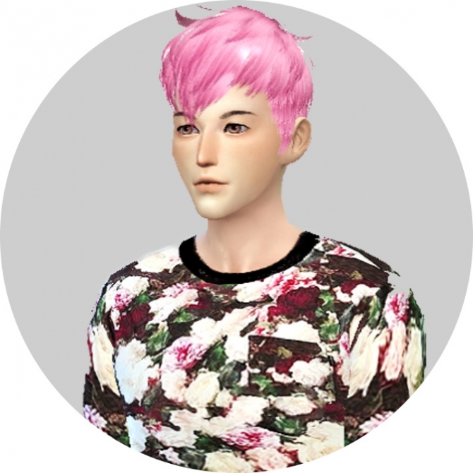 Kijiko's Panda-Kang Kang Hair Recolor at Agatho Sims » Sims 4 Updates