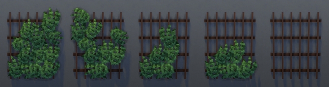 More Trellis, Less Ivy at Jool’s Simming » Sims 4 Updates