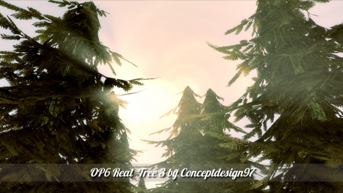 Outdoor Pack 6 Real Trees at ConceptDesign97 » Sims 4 Updates