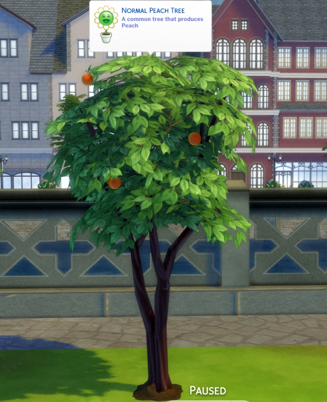 Harvestable Peach Tree by icemunmun at Mod The Sims » Sims 4 Updates