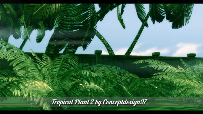 Outdoor Pack 5 - 10 Tropical Plants & 5 Palm Trees at ConceptDesign97 ...
