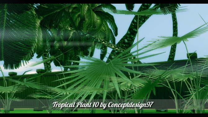Outdoor Pack 5 - 10 Tropical Plants & 5 Palm Trees at ConceptDesign97 ...
