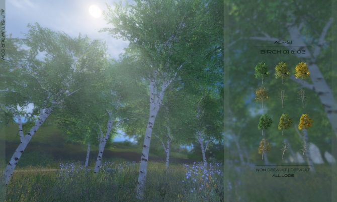 Birch trees two non-default + one as default at Alf-si » Sims 4 Updates