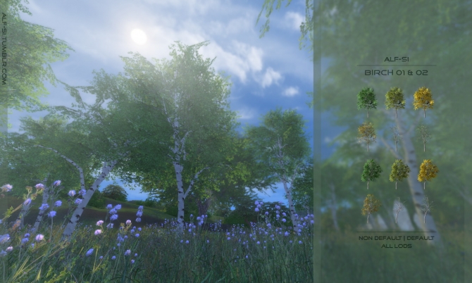 Birch trees two non-default + one as default at Alf-si » Sims 4 Updates