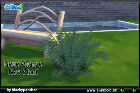 Small bush by blackypanther at Blacky’s Sims Zoo » Sims 4 Updates