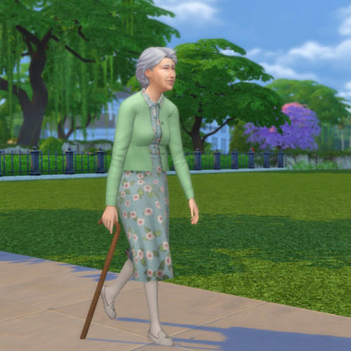 Walking Canes / Sticks at Historical Sims Life » Sims 4 Updates