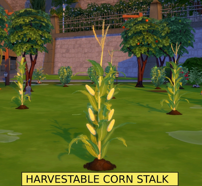 Harvestable Corn Stalk + Optional-Popcorn Popper by icemunmun at Mod ...