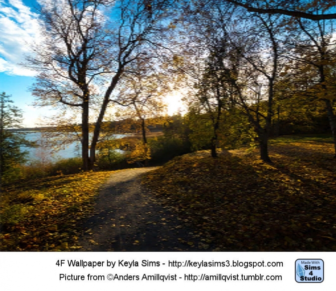 Forest Wallpapers at Keyla Sims » Sims 4 Updates