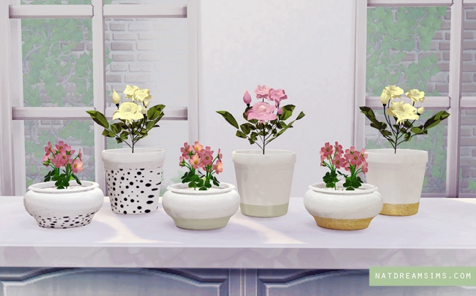 Cute Jars at Nat Dream Sims » Sims 4 Updates