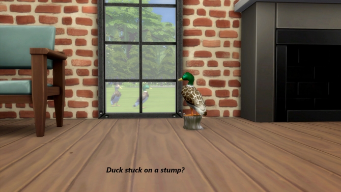 Sims 4 duck downloads » Sims 4 Updates