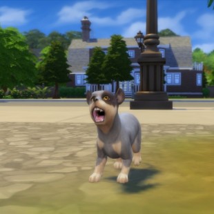 Pig Noses at Kalino » Sims 4 Updates