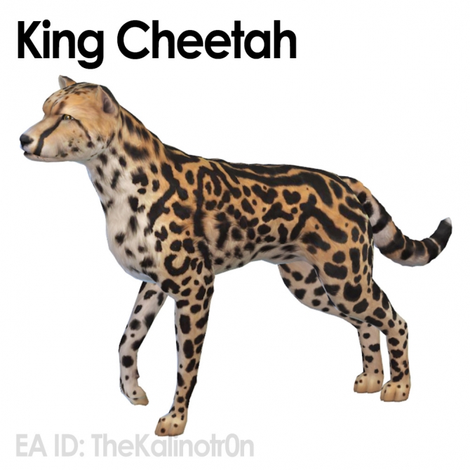King Cheetah, Lynx (cat), meerkat and red fox at Kalino » Sims 4 Updates