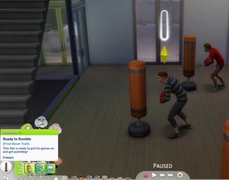 Boxer Trait by GoBananas at Mod The Sims » Sims 4 Updates