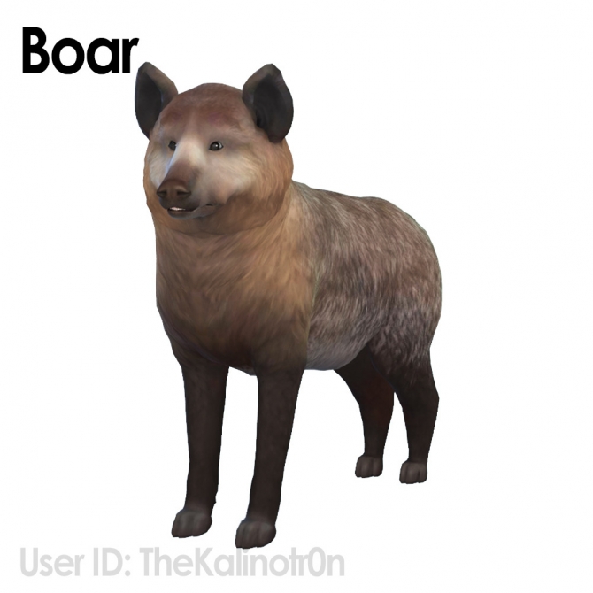 Clouded Leopard, Zebra, Boar and Guinea Pig at Kalino » Sims 4 Updates