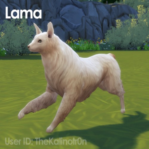 Llama, Suffolk Sheep, Sheep and Goat at Kalino » Sims 4 Updates