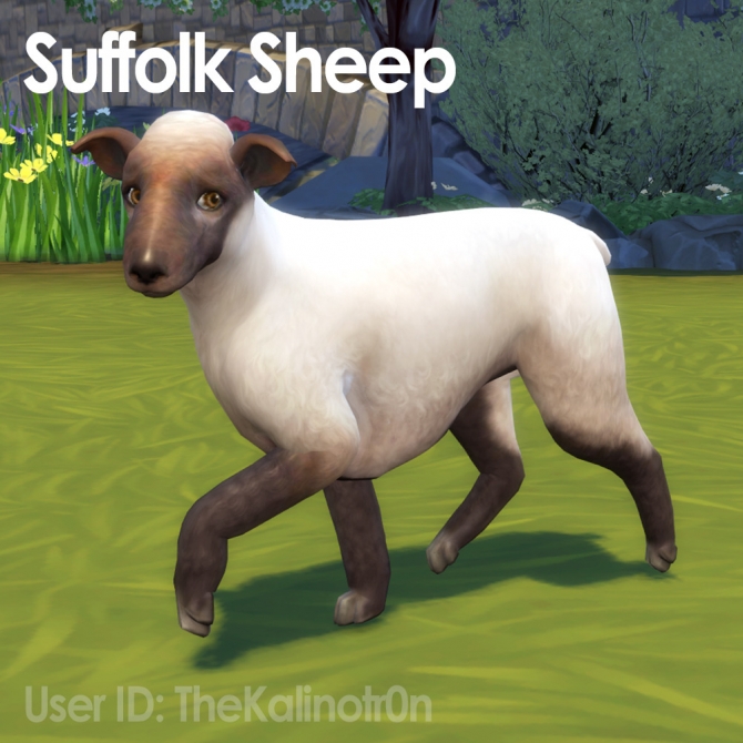 Llama, Suffolk Sheep, Sheep and Goat at Kalino » Sims 4 Updates