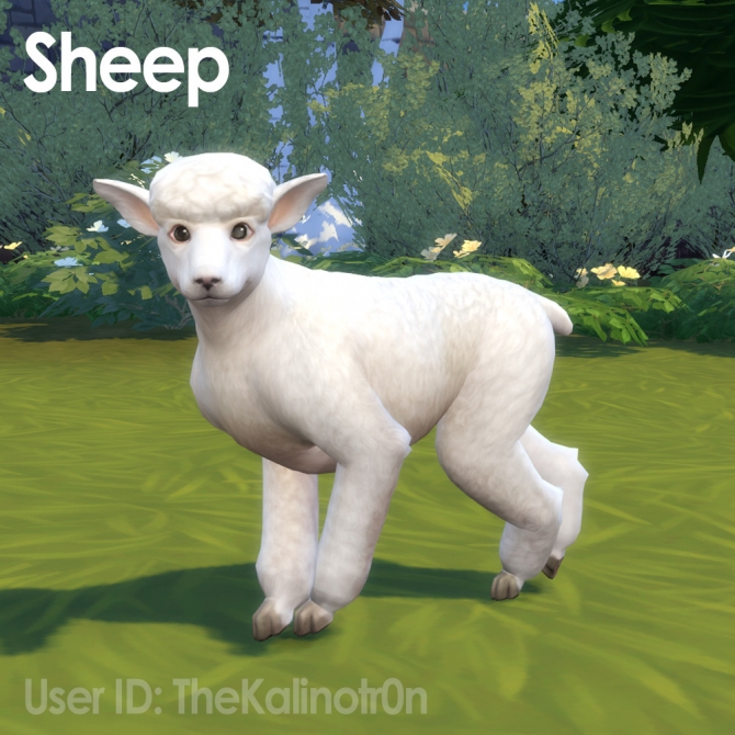 Llama, Suffolk Sheep, Sheep and Goat at Kalino » Sims 4 Updates