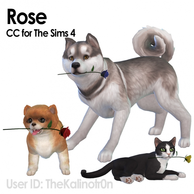 Roses (Head Acc) for all your fluffy companions at Kalino » Sims 4 Updates