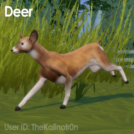 Snow Leopard, Leopard, Fallow Deer, Deer and White Tiger at Kalino ...