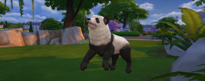 Sims 4 panda downloads » Sims 4 Updates