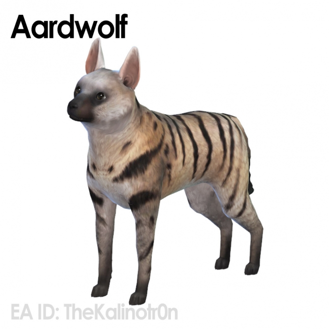 Ferret, Aardwolf, African Wild Dog and Hyena at Kalino » Sims 4 Updates
