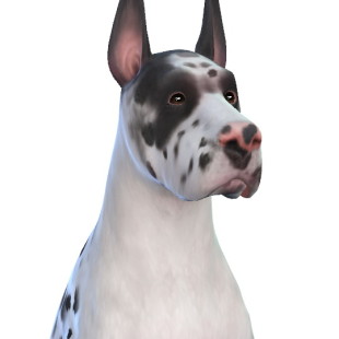 Dog Eyes 02 SET by RemusSirion at TSR » Sims 4 Updates