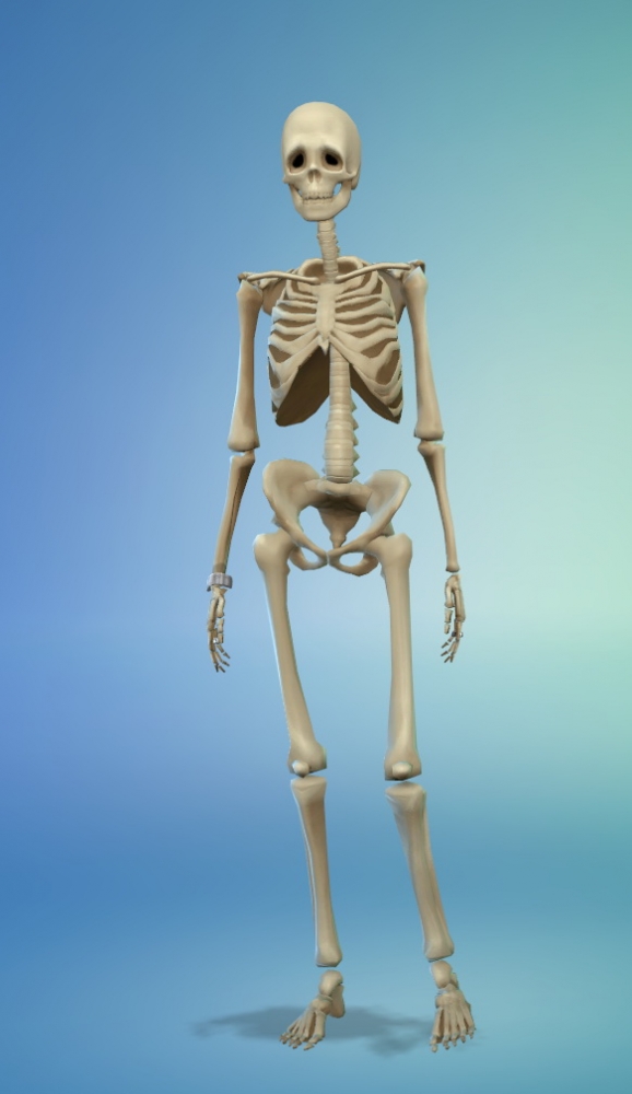 Unlocked Jungle Adventure Skeleton Outfit by blueshreveport at Mod The ...