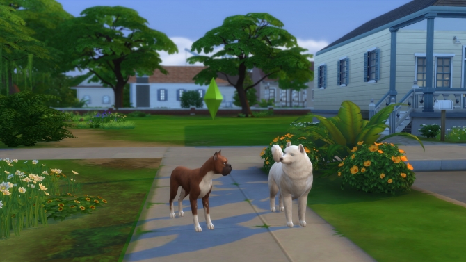 The Crittur Family - dogs by n8smom8496 at Mod The Sims » Sims 4 Updates