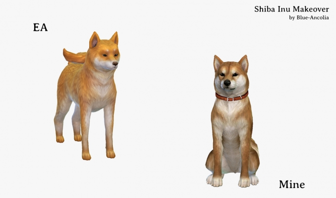 Shiba Inu Makeover at Blue Ancolia » Sims 4 Updates