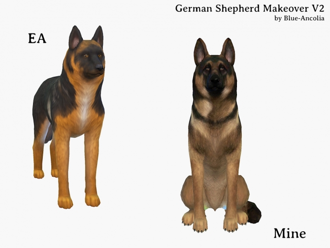 German Shepherd Makeover V2 & V3 at Blue Ancolia » Sims 4 Updates
