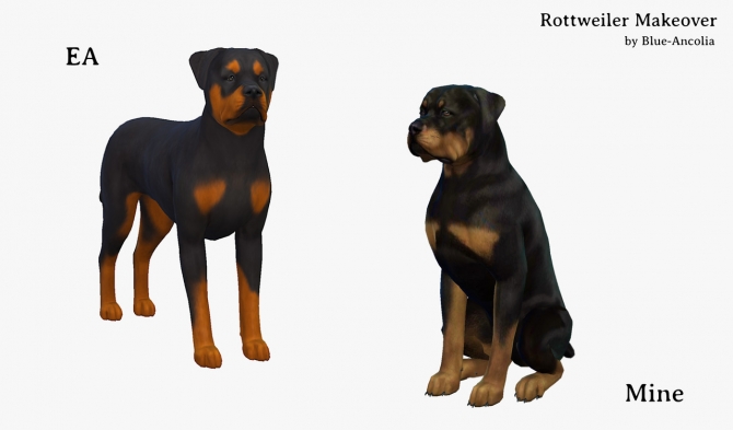 Rottweiler Makeover at Blue Ancolia » Sims 4 Updates