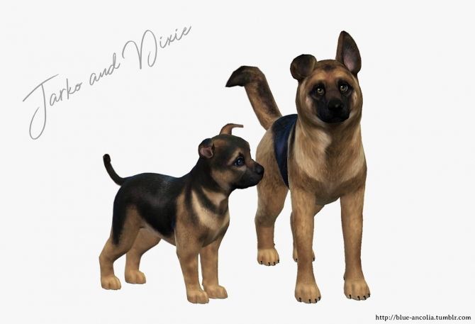 German Shepherd Puppies at Blue Ancolia » Sims 4 Updates