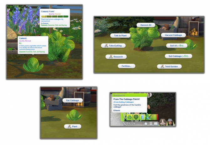 HARVESTABLE CABBAGE at Icemunmun » Sims 4 Updates