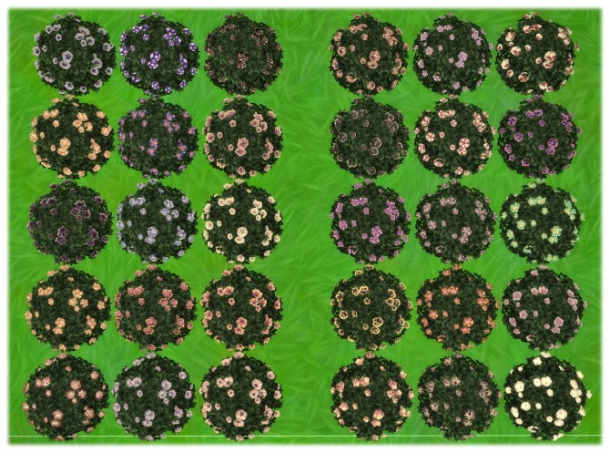 Yummy Dinner Plate Hibiscus Bush by Wykkyd at Mod The Sims » Sims 4 Updates