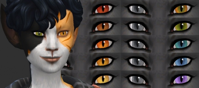 Feline Heterochromia by EachUisge at Mod The Sims » Sims 4 Updates