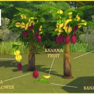 Fruit Trees by SimsAtelier at Blacky’s Sims Zoo » Sims 4 Updates