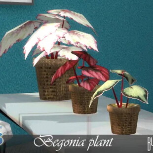 Updated plants at MIO » Sims 4 Updates