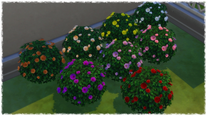 Mumumental Fall Mums Shrub 2020 by Wykkyd at Mod The Sims » Sims 4 Updates