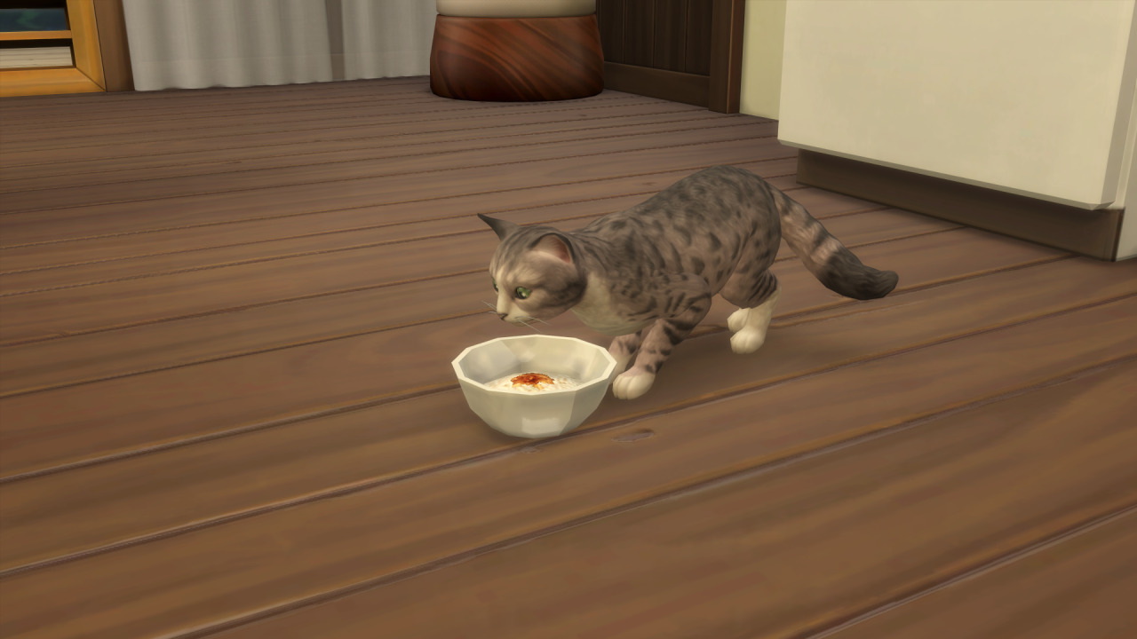 Custom Kitchen Appliance: Rice Cooker by konansock at Mod The Sims 4 ...