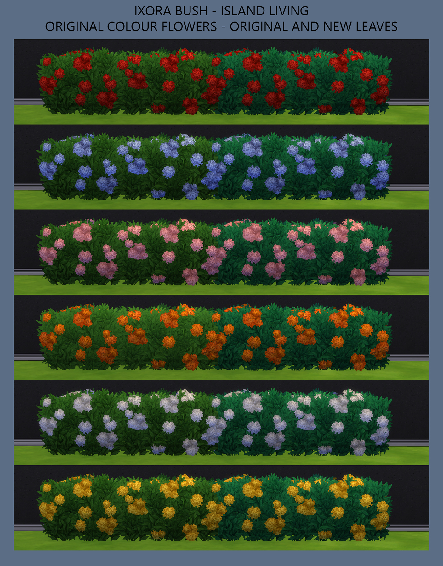 Ixora Bush Fixed Location and Recolours by Simmiller at Mod The Sims 4 ...