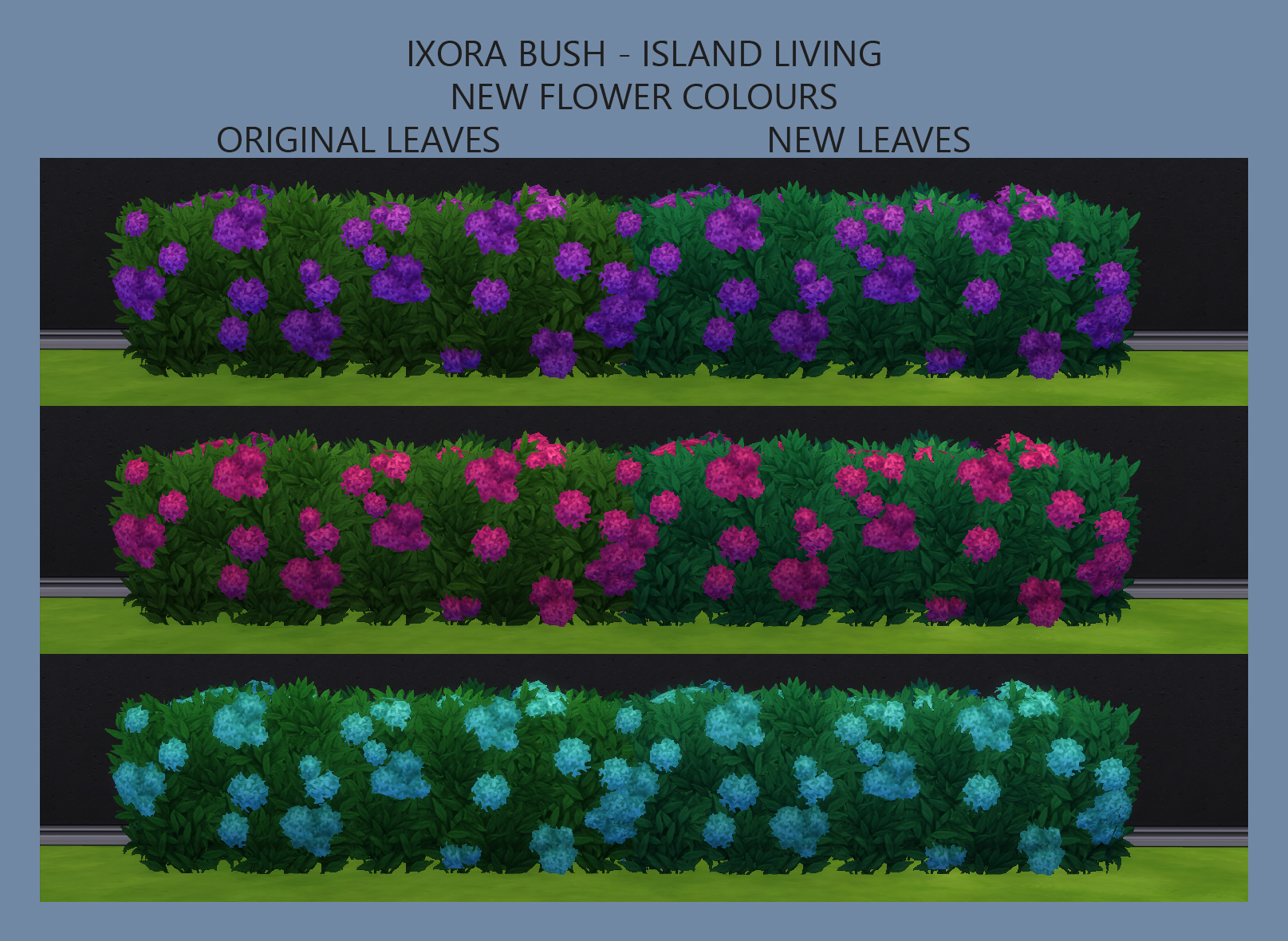 Ixora Bush Fixed Location and Recolours by Simmiller at Mod The Sims 4 ...