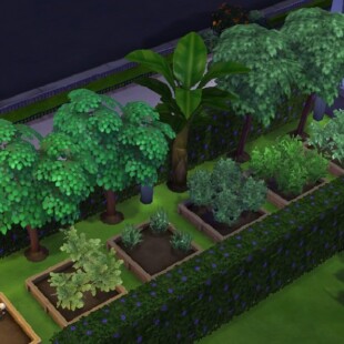 No Mosaic / Censor Mod by moxiemason at Mod The Sims » Sims 4 Updates