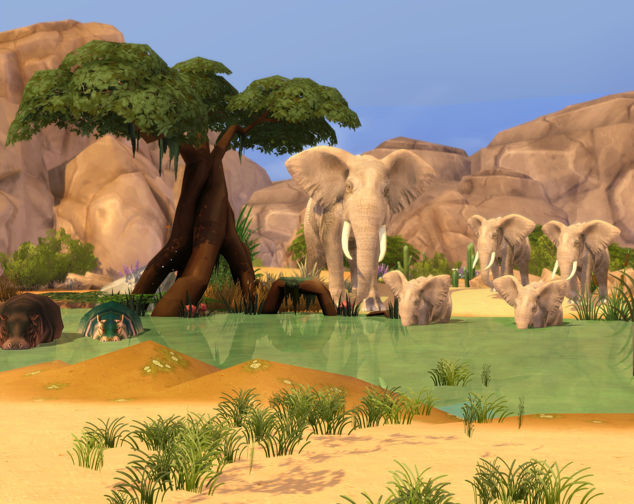 Go To Safari at Lily Sims » Sims 4 Updates