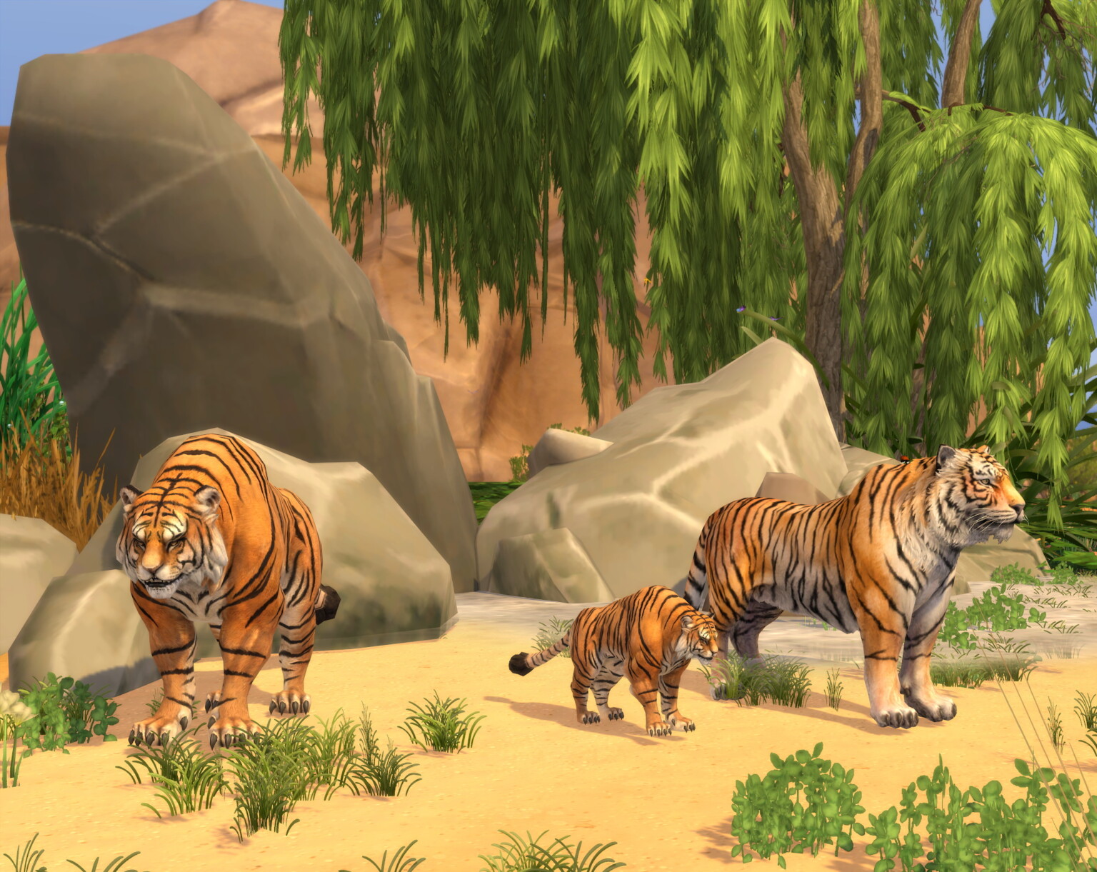 Go To Safari at Lily Sims » Sims 4 Updates