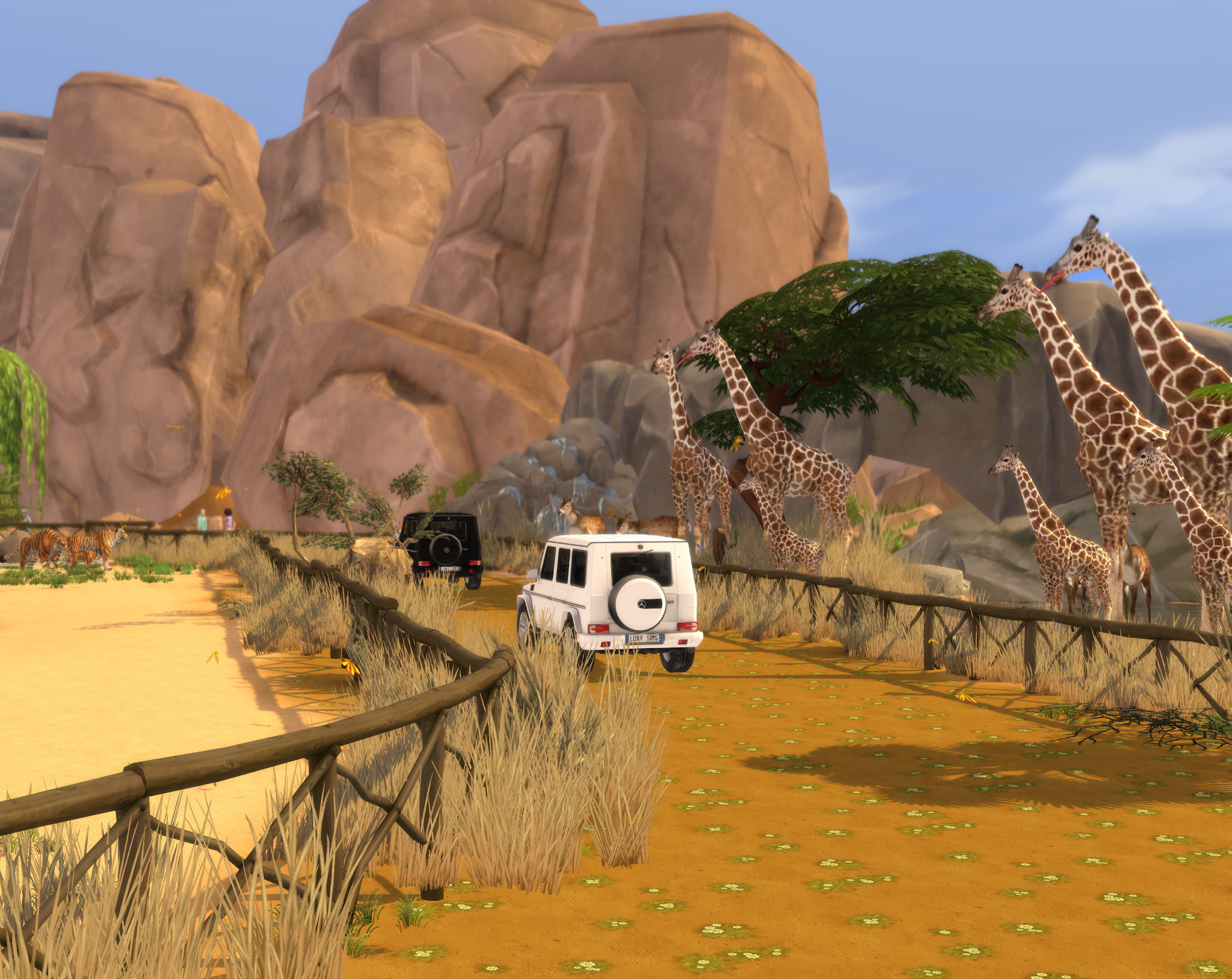 Go To Safari at Lily Sims » Sims 4 Updates