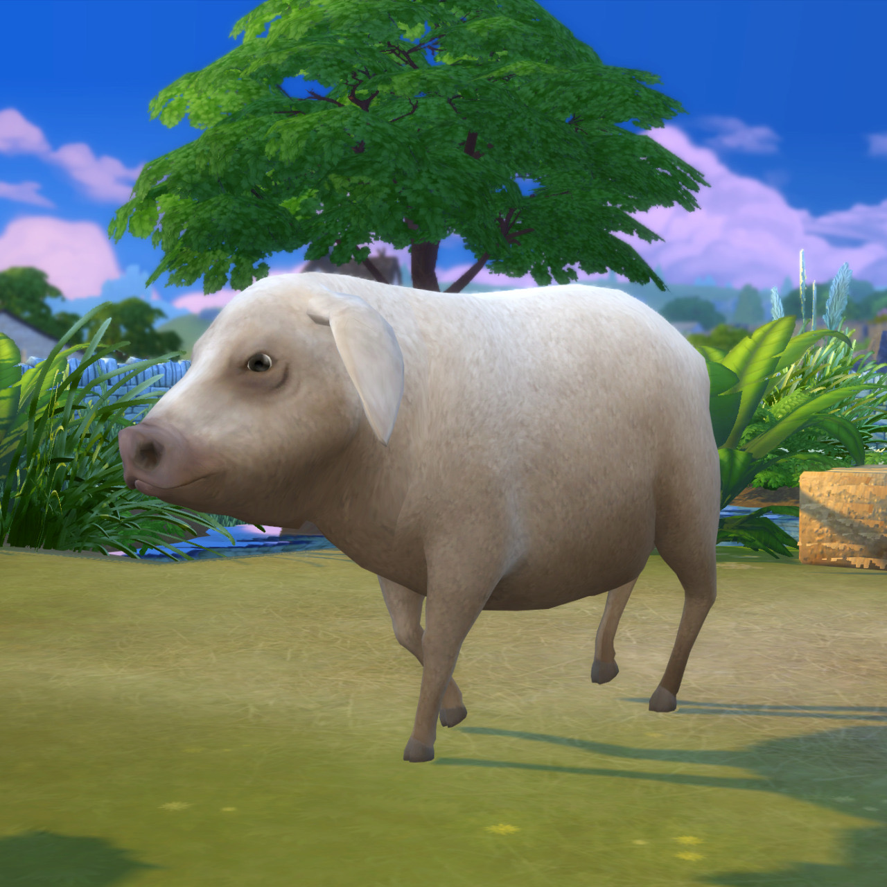 Sims 4 Pets downloads » Sims 4 Updates